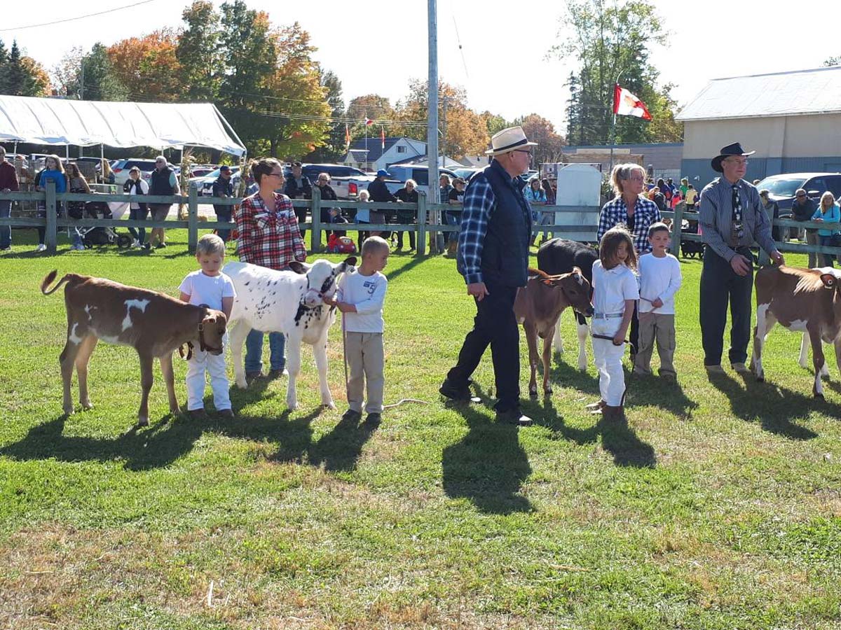 Competitions | Elmvale Fall Fair