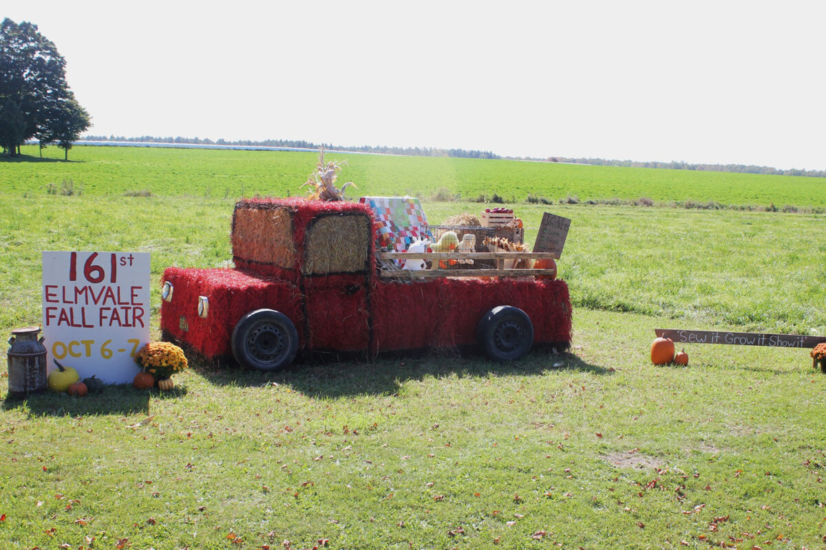 Competitions | Elmvale Fall Fair
