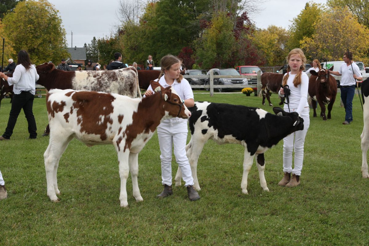 2022 Friday Photos | Elmvale Fall Fair