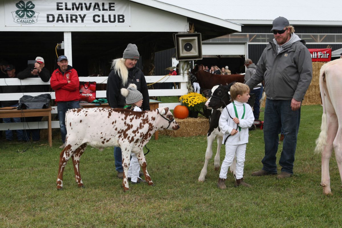 2022 Friday Photos | Elmvale Fall Fair