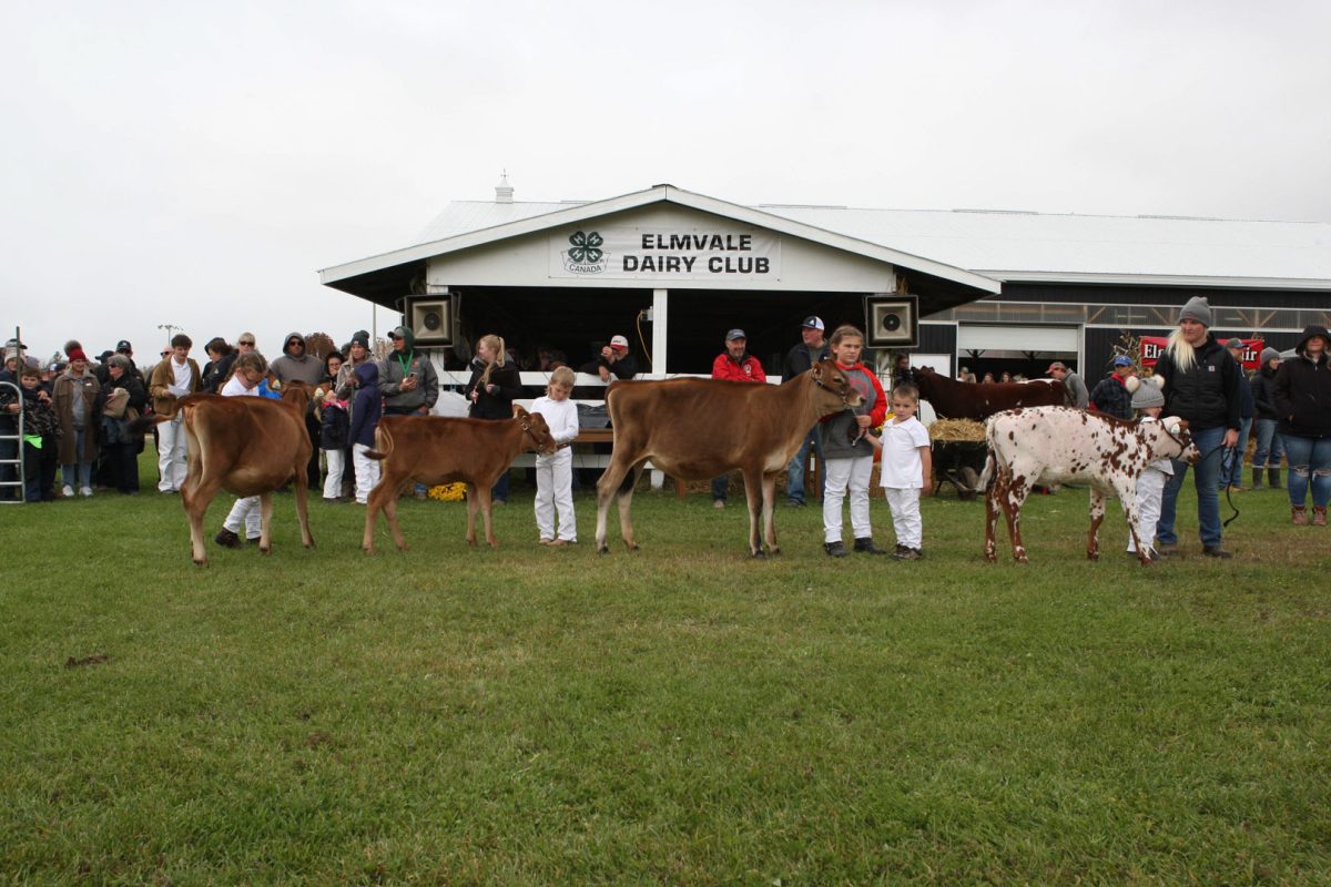 2022 Friday Photos | Elmvale Fall Fair