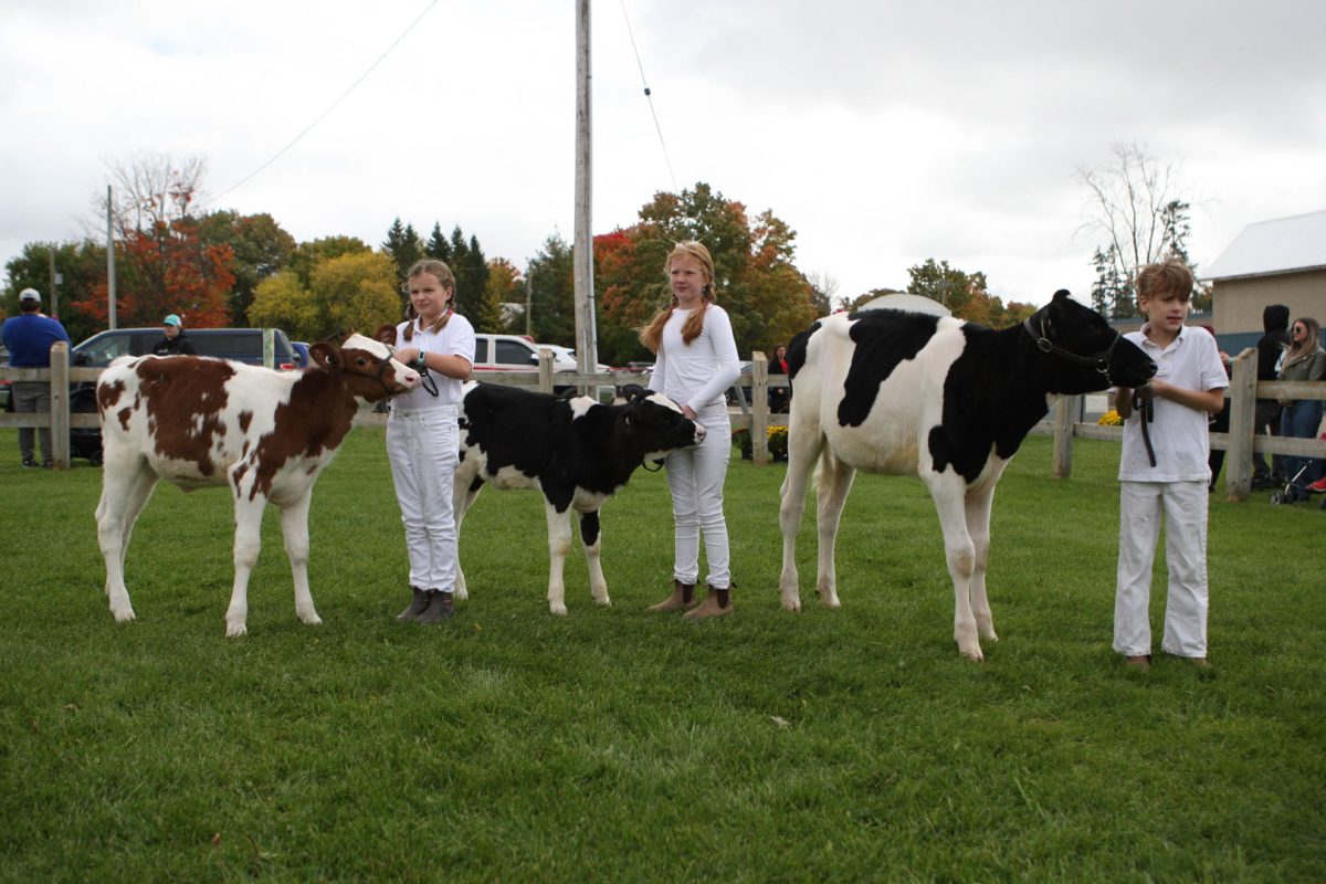 2022 Friday Photos | Elmvale Fall Fair
