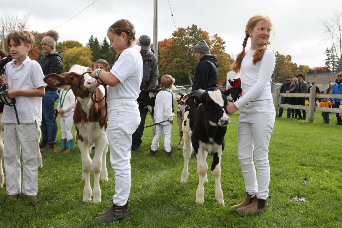 2022 Friday Photos – Elmvale Fall Fair