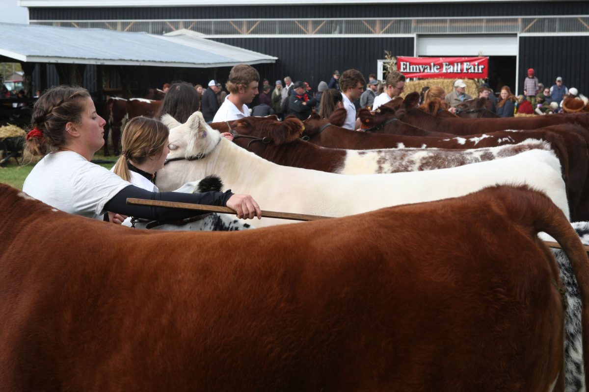 2022 Friday Photos – Elmvale Fall Fair