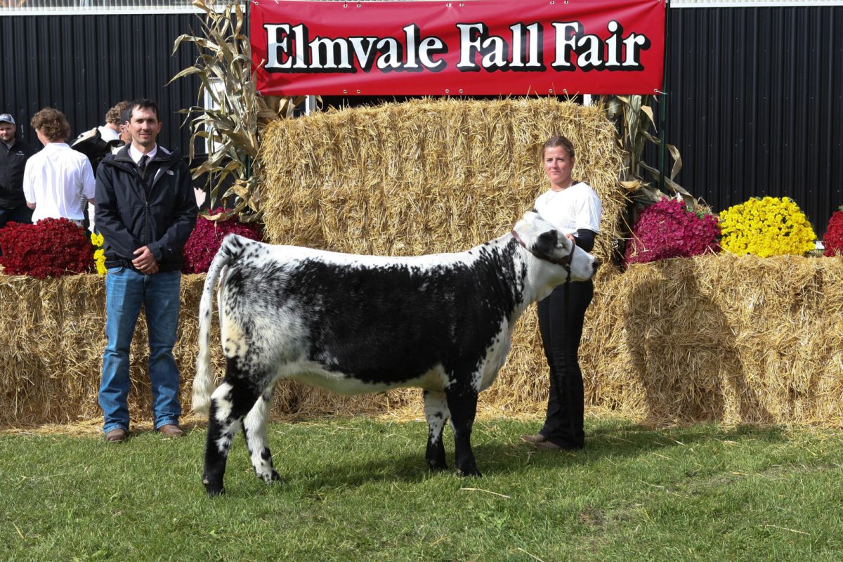 2022 Friday Photos | Elmvale Fall Fair