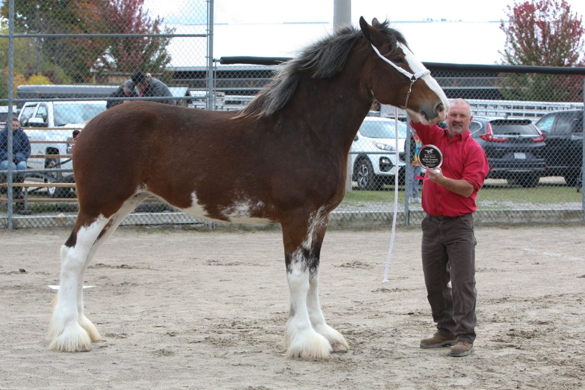 2022 Saturday Photos | Elmvale Fall Fair