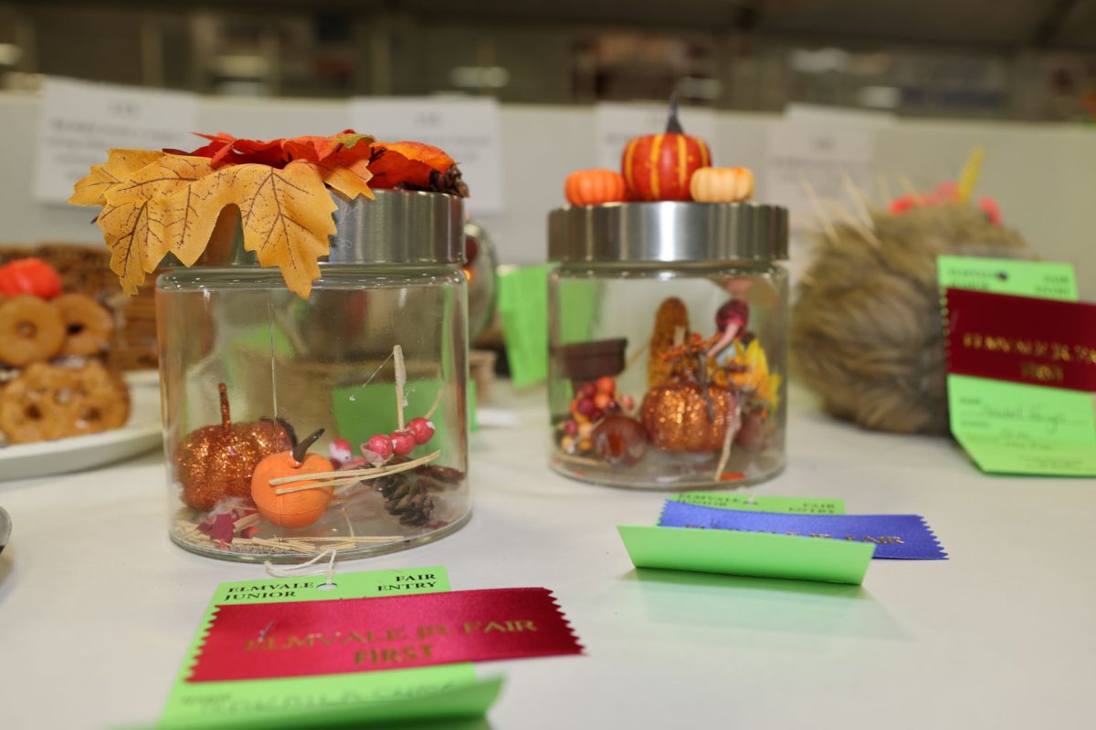 Competitions | Elmvale Fall Fair