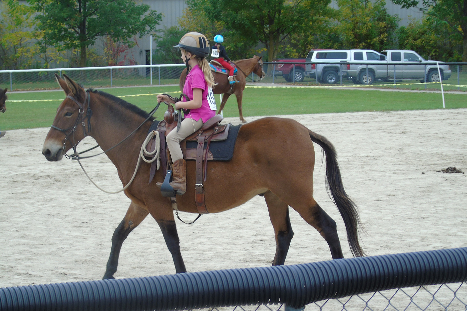 Pony Show | Elmvale Fall Fair